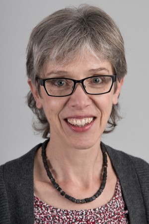 Wirtschaft – Arbeit – Haushalt - Fächer und Schwerpunkte - phlu.ch